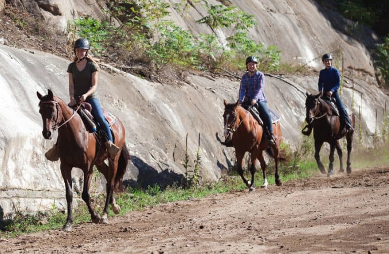 Summer Camp in Arden, Ontario | Circle Square Ranch Big Clear Lake